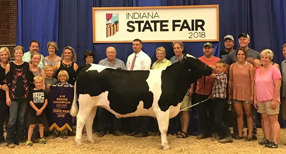 Beer wins State Grand Champion Dairy Steer | The Berne Witness