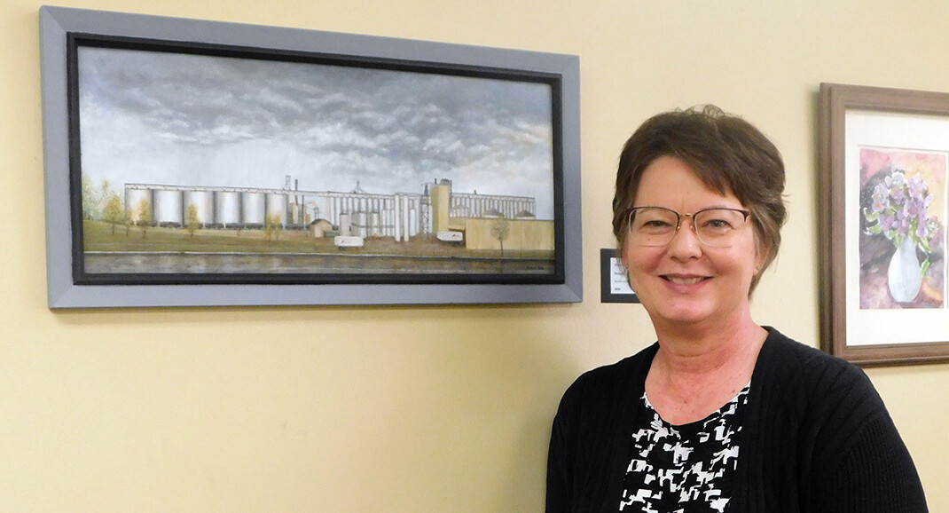 Art Council displays works of area painters | The Berne Witness