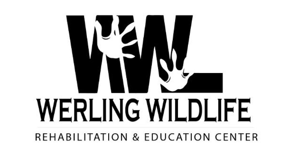 Werling Wildlife appeals to Geneva over alligator… | The Berne Witness